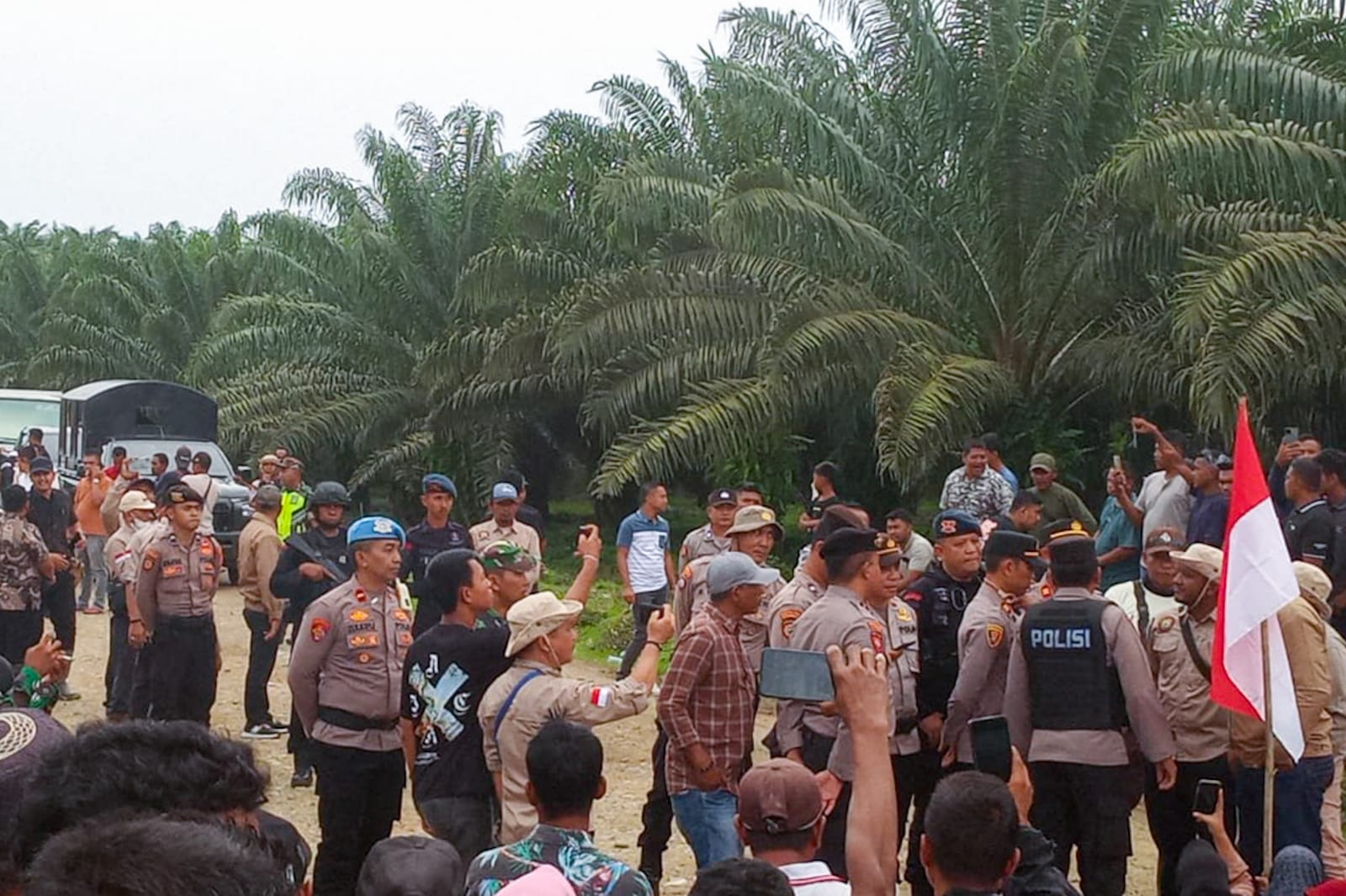 PT Perkebunan Nusantara di Aceh Utara Diduga Kriminalisasi Warga